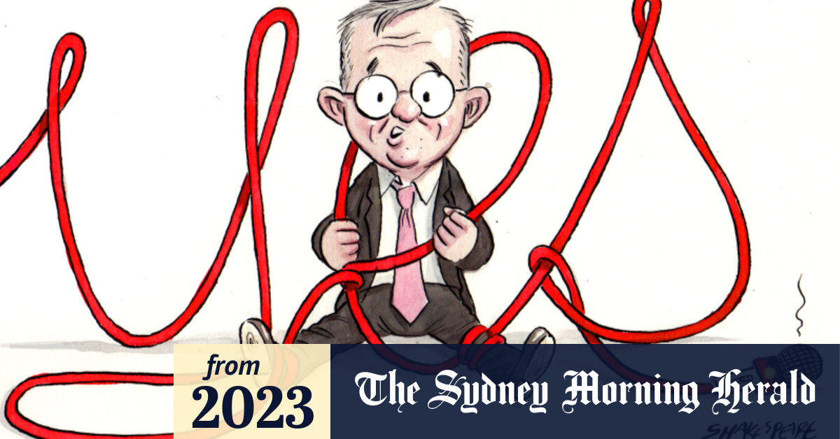 Cartoons of the week