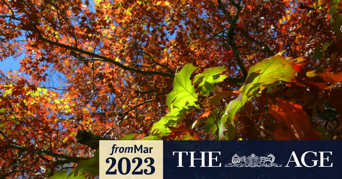 Autumn in Melbourne: The best places to visit in Victoria in the fall