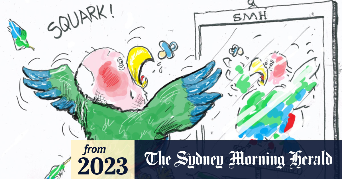 Cartoons of the week