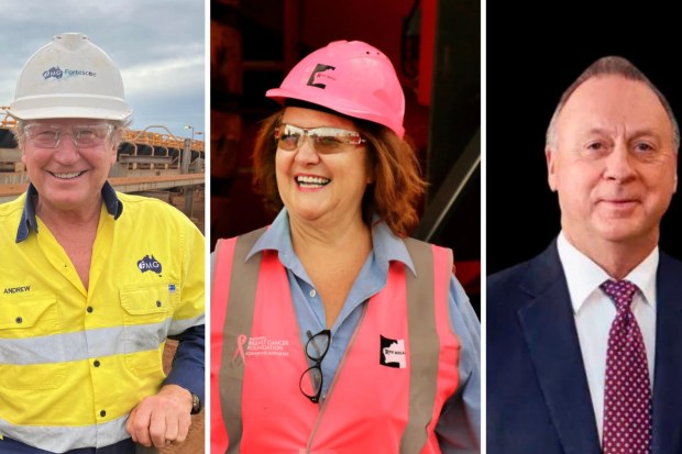 Gina Rinehart Liontown raid another case of eleventh hour M&A anticas