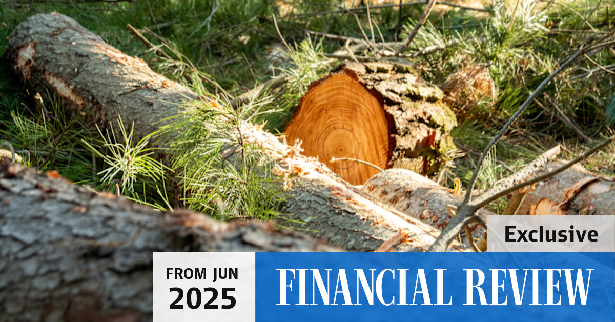 Forest owner OneFortyOne in mega deal