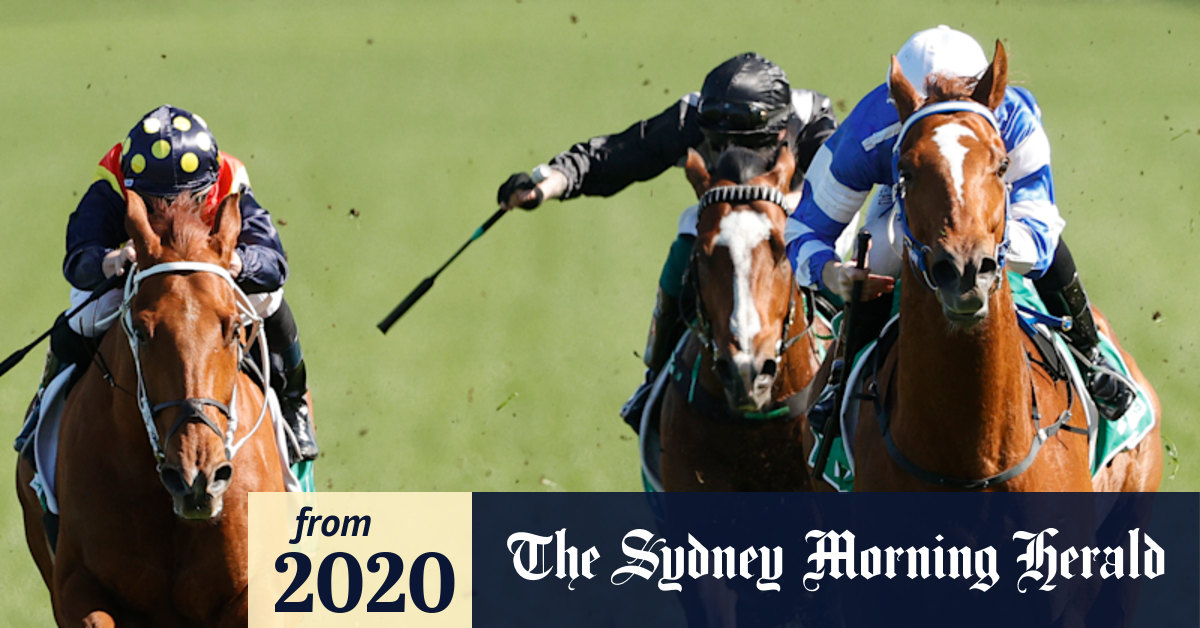 Faith in Gytrash has Collett poised to move mountains