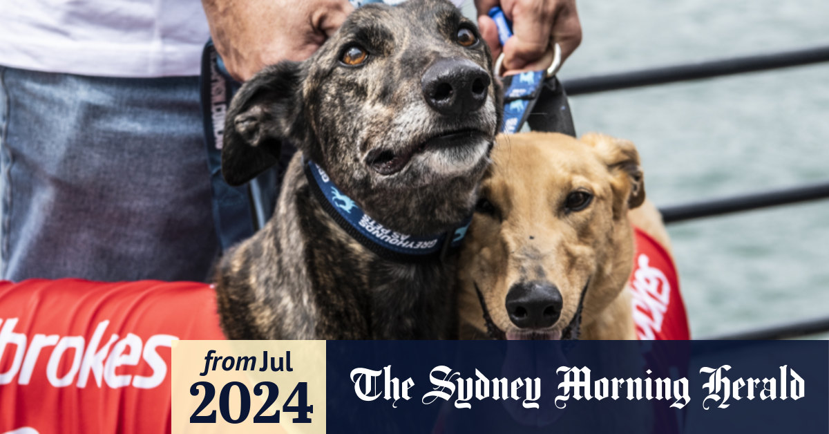 Greyhound racing in NSW has run its course