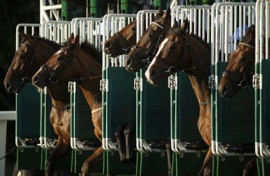 Taree races Tuesday tips and full preview