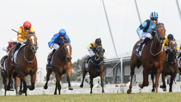 Why Sharpe Hussler caught attention of 'Dr Nick' – doctor of winning