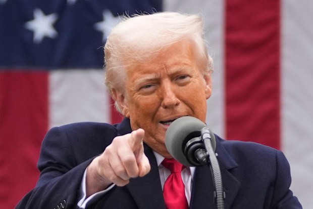 Donald Trump’s tariffs and ‘beautiful’ trade war will leave an ugly scar
