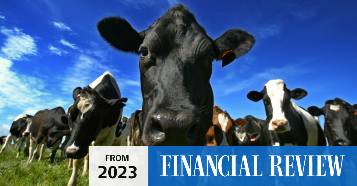 BFC ASX: Beston Global Foods shares tough record low as profit sink on ...