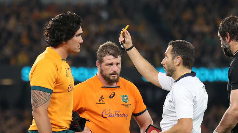 Wallabies second-row Darcy Swain banned for six weeks, will return for ...
