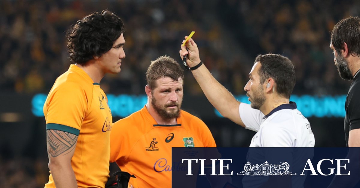 Wallabies second-row Darcy Swain banned for six weeks, will return for ...