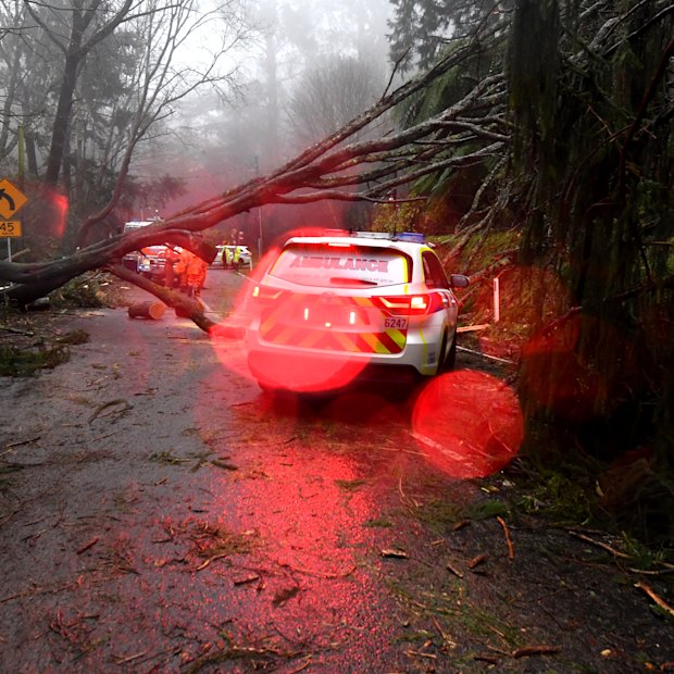 ‘Like hell on earth’: The night the trees fell from the sky