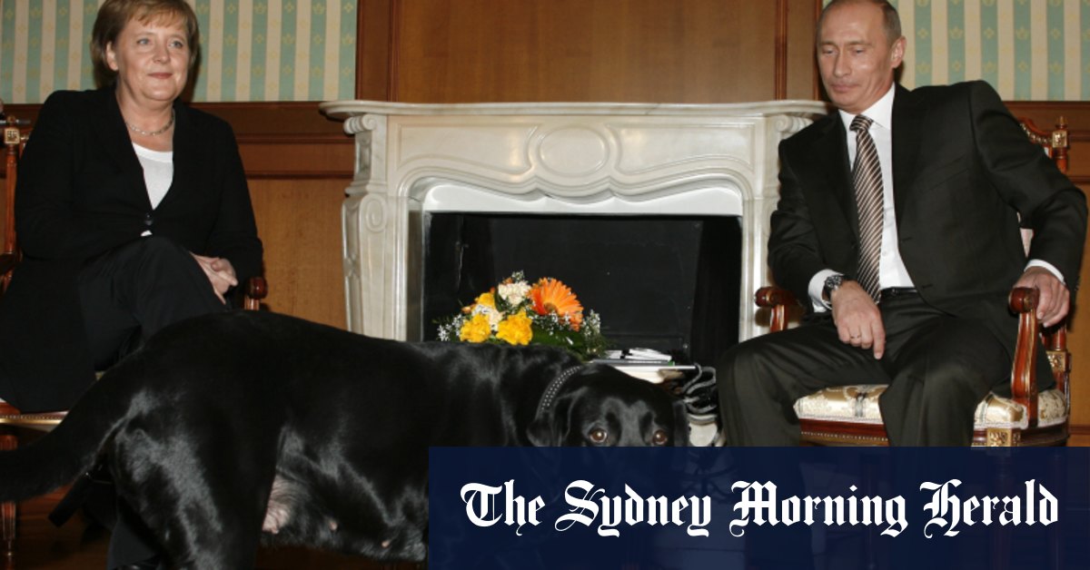 Dogs and long waits: Merkel recalls Putin’s ‘power games’