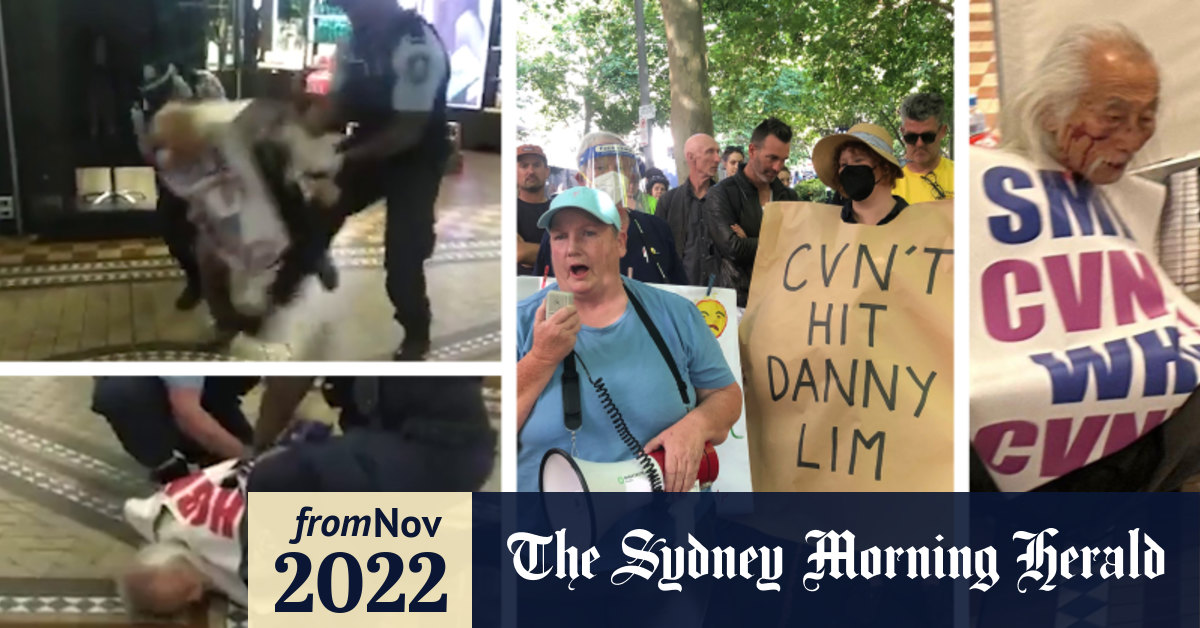 Danny Lim arrest: NSW Police excessive force ‘damaging Sydney’s ...