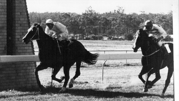 Saturday racing Randwick: Dar Lunn’s 50-year journey to Elson Boy fame