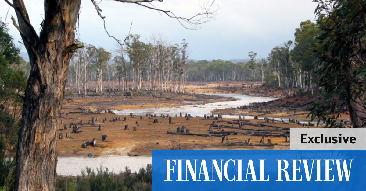 Biodiversity and carbon credits: Albanese Labor government set to join ...