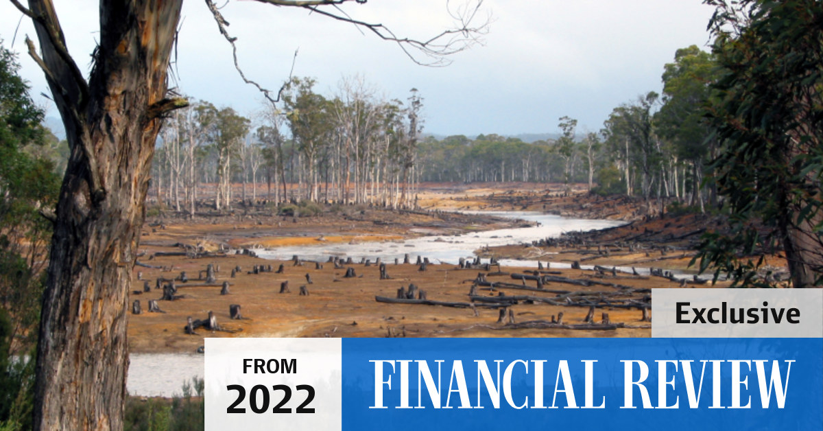 Biodiversity and carbon credits: Albanese Labor government set to join ...