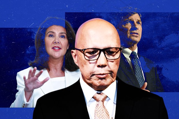 Election 2025: Liberals lost because it was too left-wing on the economy