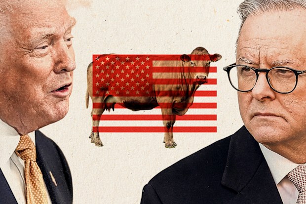 australian beef tariffs