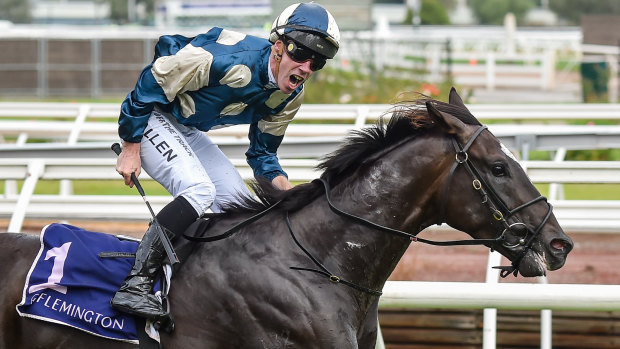 Racing: ‘A devastating blow’ - Cup favourite Hitotsu ruled out of ...