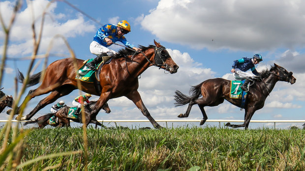 Race-by-race preview and tips for Nowra on Sunday