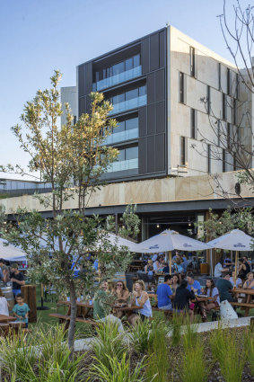 Expanded Harbord Diggers Club blends with rocky sandstone outcrop