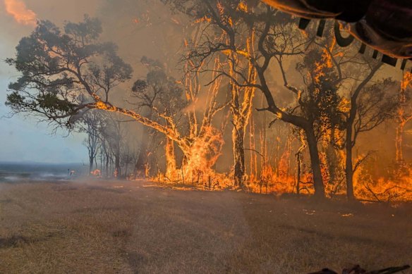 Bushfires Victoria: Call for parliamentary inquiry into state’s fires