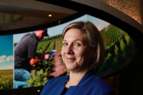 Tesla boss Robyn Denholm says Australia is missing out on big climate ...