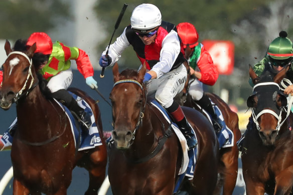 Grebeni shaping as next star for Ryan and Alexiou as they eye milestone win