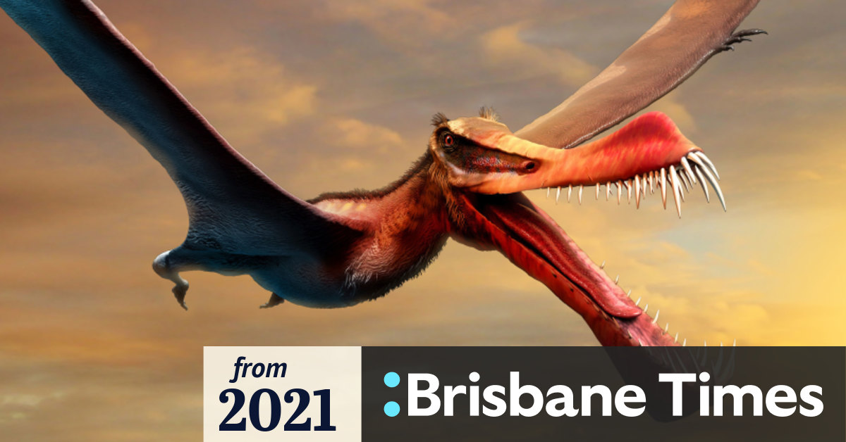 Largest Australian pterosaur ever discovered was a ‘bat on steroids’