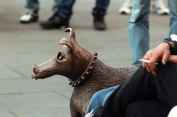 From the Archives, 1996: Doggone! Larry La Trobe returns to Melbourne