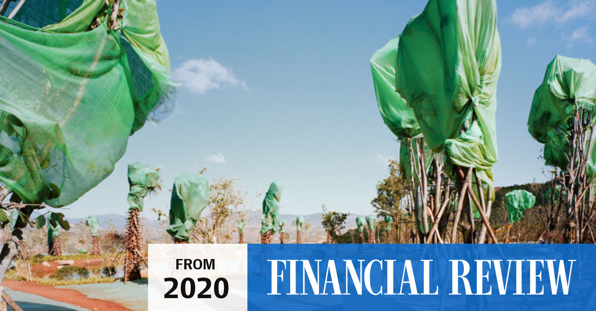 China's 40-year, billion-tree project is a lesson for the world ...