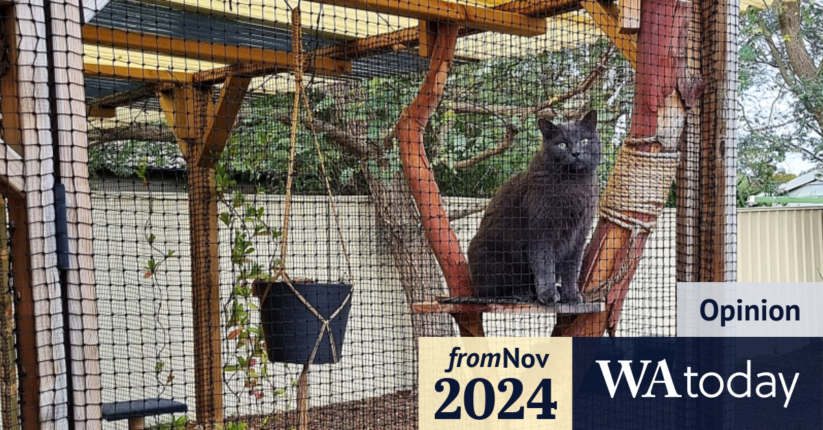 Perth cat owners adopt cat enclosures