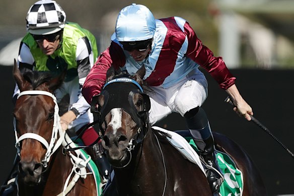 Race-by-race preview and selections for Scone on Friday