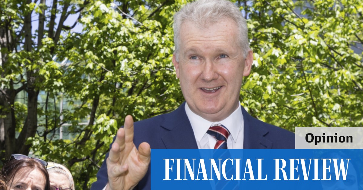 Employment Minister Tony Burke claims rising wages are down to the ...
