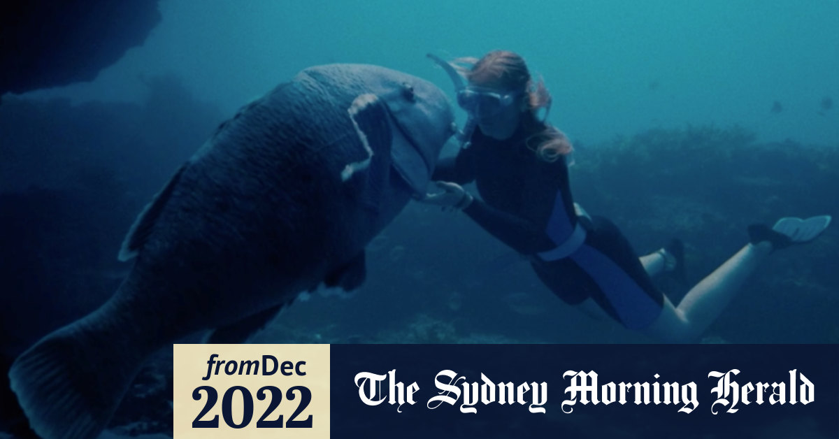 Film review: Blueback