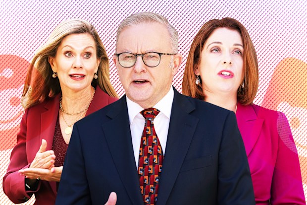 Reddit prepares High Court challenge against Australia’s social media ...