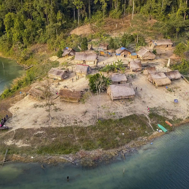 Malaysia tigers: The local mission to save Malayan tigers from extinction