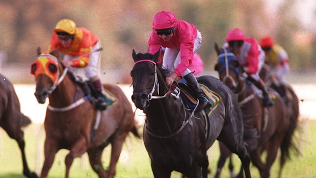 Race-by-race guide and tips for Nowra on Sunday