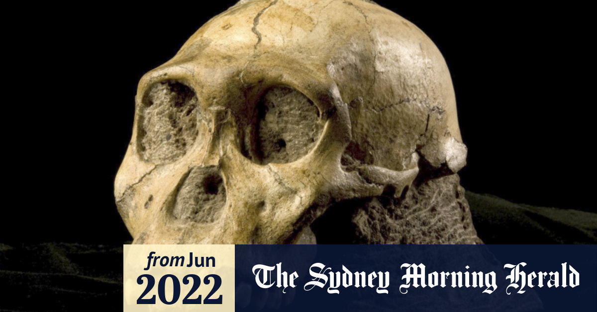 Australopithecus found in South Africa may be 1 million years older ...