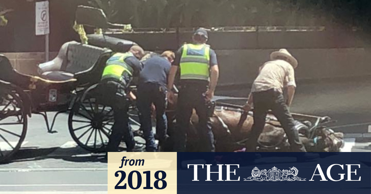 Operator defends horse-drawn carriages after vehicle overturns