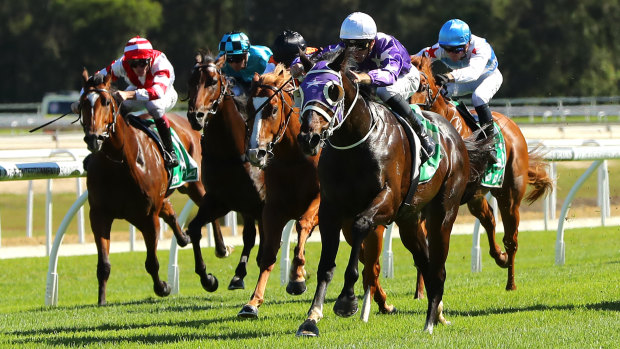 Race-by-race preview and tips for Kempsey on Monday
