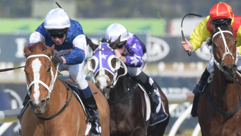 Race-by-race preview and tips for Warwick Farm on Wednesday