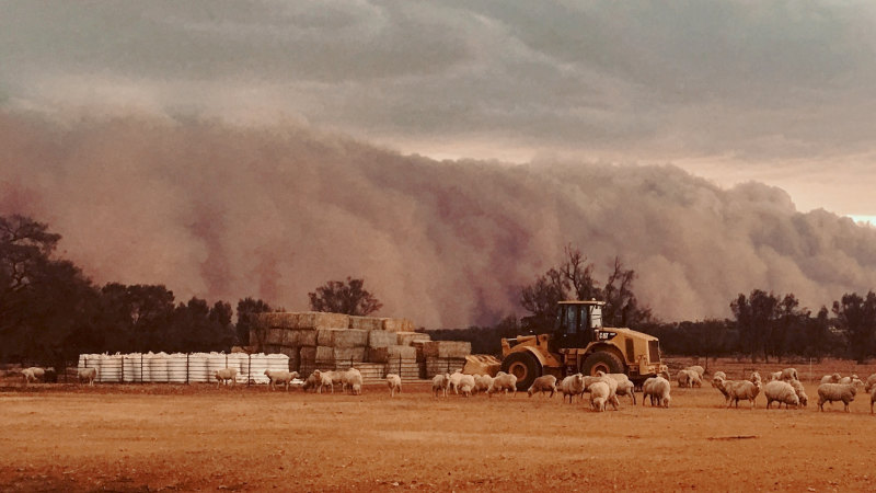 Huge 'wall of dust' sweeps across western NSW