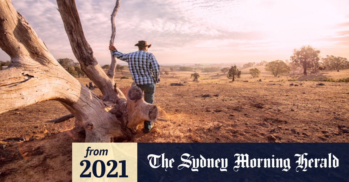 Stories of survival: How Aussies are getting by in the bush