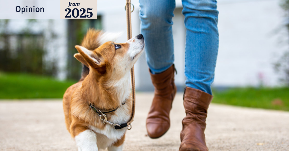 When it comes to dogs or humans, patience is key for any teacher; faith ...