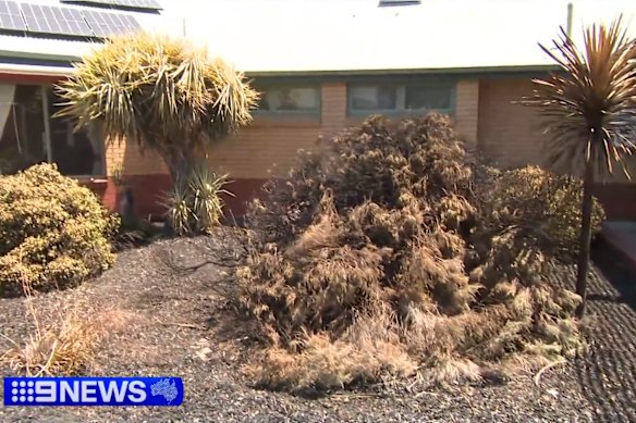 Victorian bushfires: How 60 people were saved from flames in Natimuk