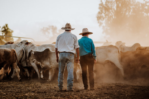 Graziher, Galah, Bush Journal: the rise of niche rural publications