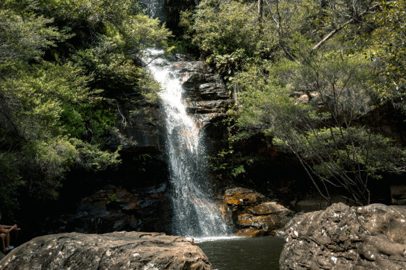 Man dies after falling from popular Blue Mountains waterfalls