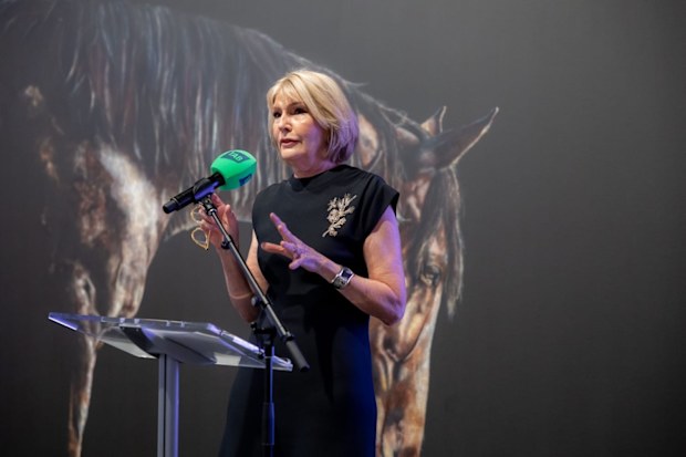 Horse lovers are buying up Snitzel, Anamoe progeny at Magic Millions