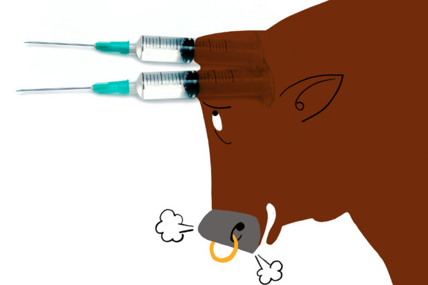 The virulence of internet memes