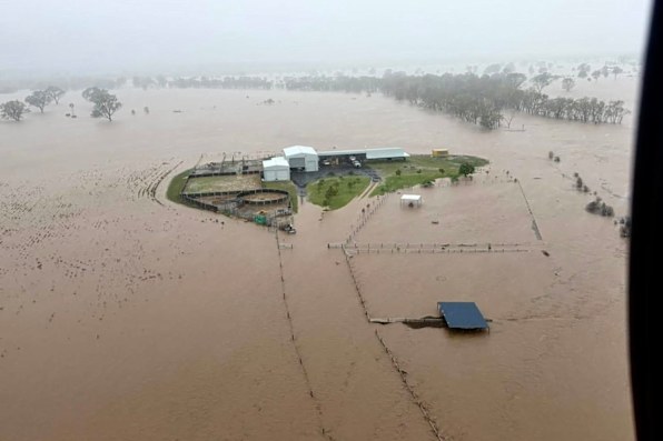 Jasper Jones author charged with possessing child exploitation material